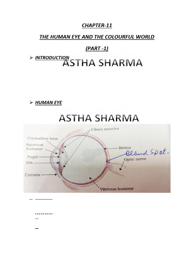 Human Eye (Notes) - Part 1 | PDF | Eye | Human Eye