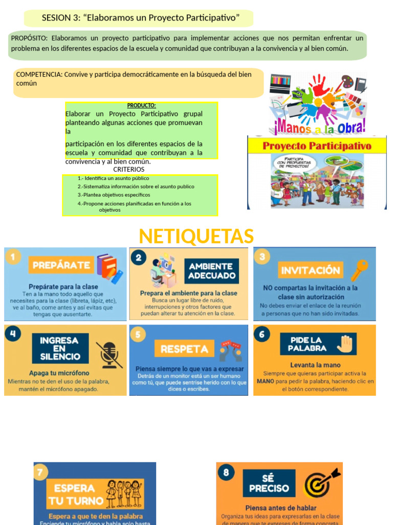 Proyecto Participativo 3a | PDF