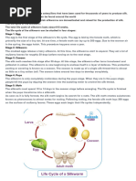 Duck Life Cycle: Stages Explained | PDF | Duck | Egg