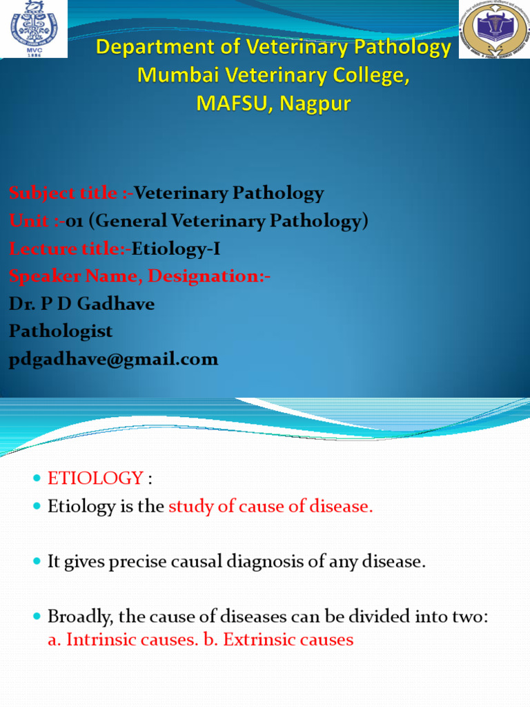 Lecture No 2 | PDF | Ploidy | Nucleotides