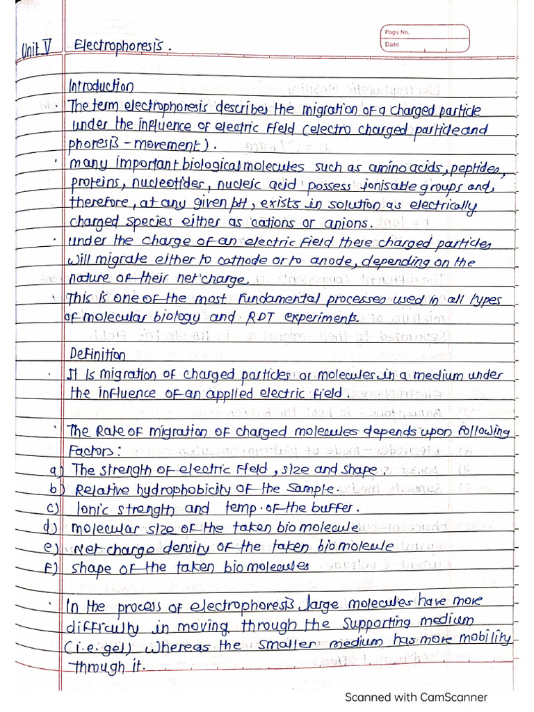 Unit 5 Electrophoresis MPAT | PDF