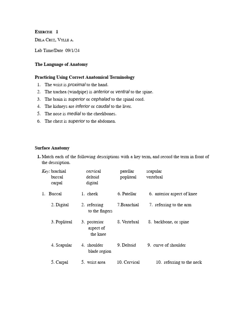 Anatomical Terminology and Body Planes | PDF | Anatomical Terms Of ...