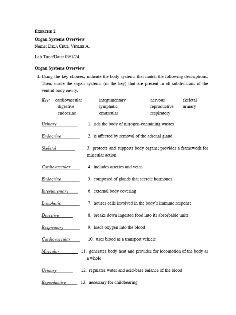 EXERCISE-2-Organ-Systems-Overview | PDF | Human Body | Endocrine System