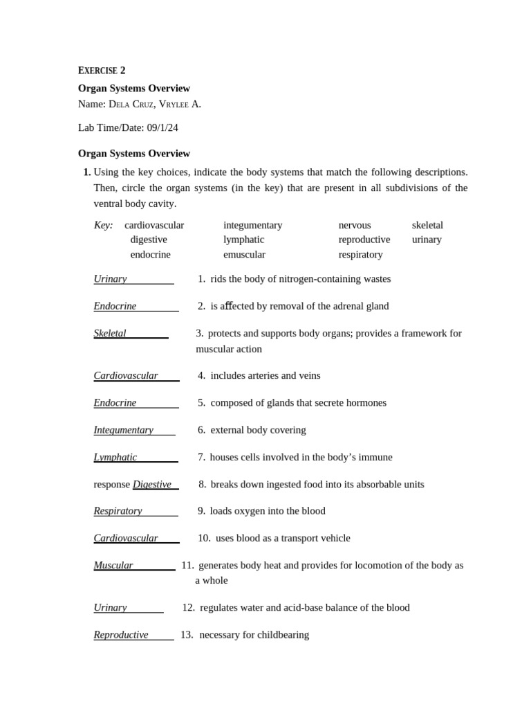 EXERCISE 2 Organ Systems Overview | PDF | Human Body | Endocrine System