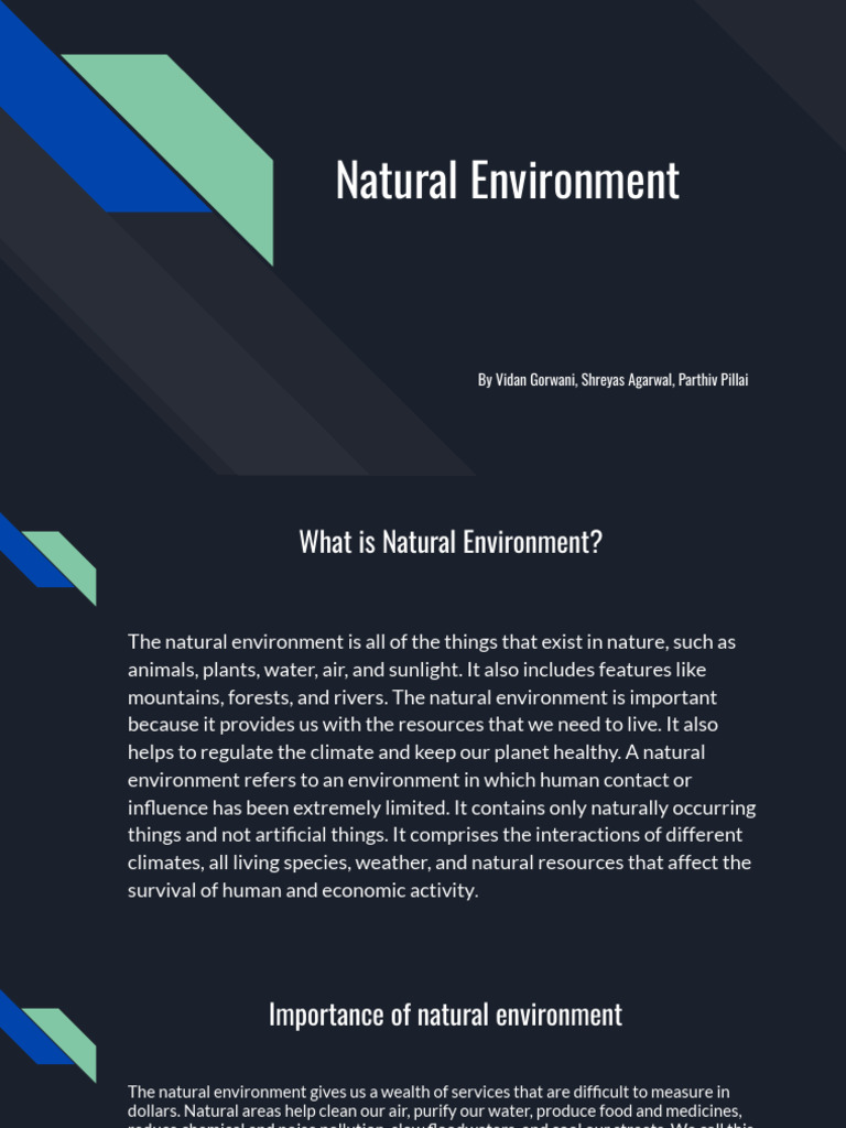 Natural Environment | PDF | Natural Environment | Resource Depletion