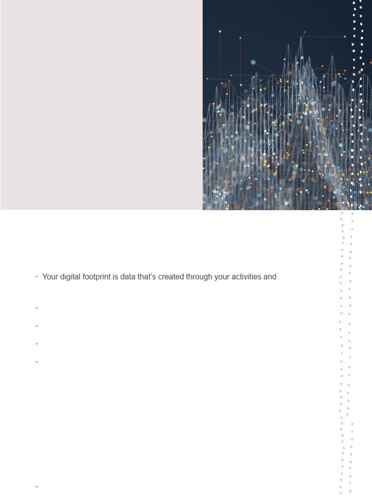 Digital Footprint | PDF