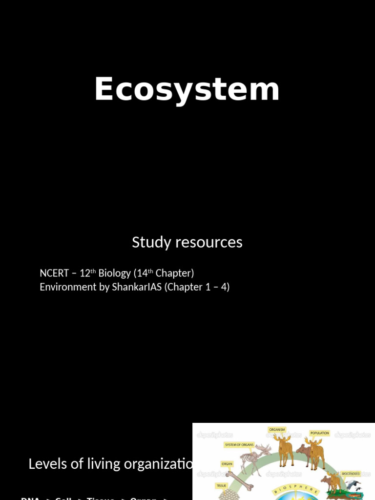 1. Ecosystem-1 | PDF | Plant Nutrition | Herbivore