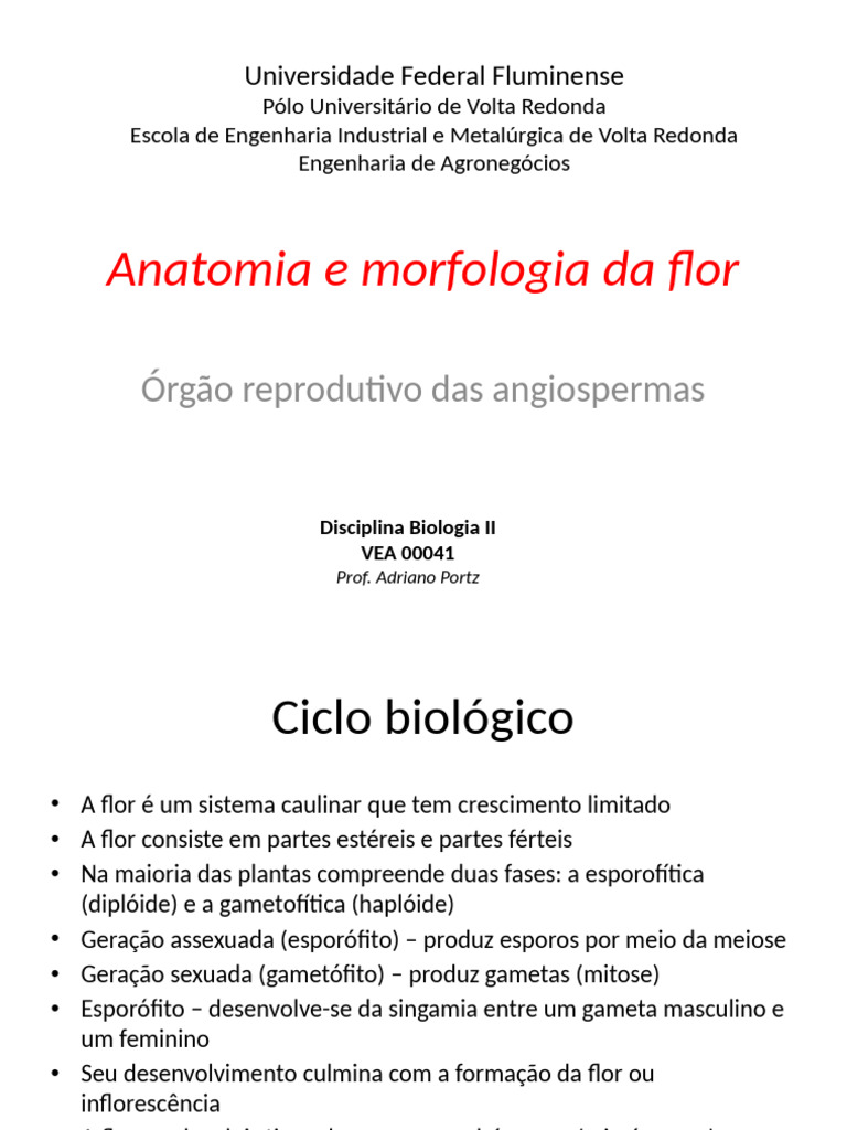 4-Anatomia e Morfologia Da Flor | PDF | Flores | Semente