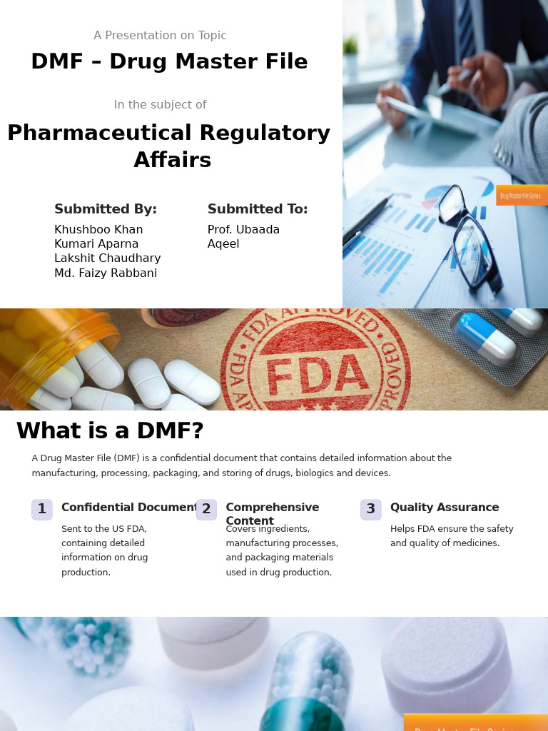 Drug Master File (DMF) Insights 2024 | PDF | Food And Drug Administration | Drugs