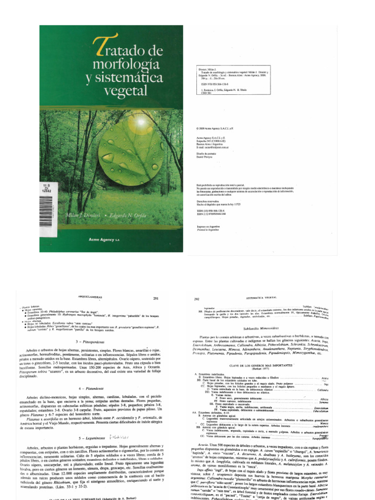 Dimitri y Orfila TP 5 | PDF