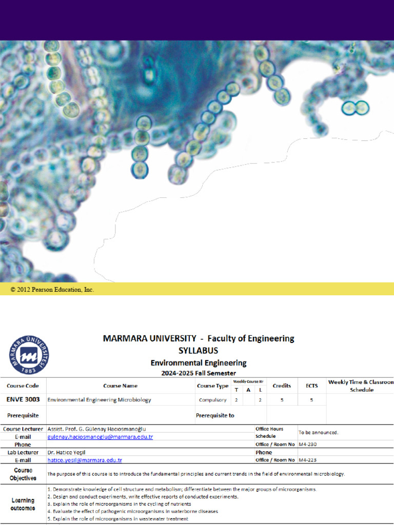 CH 01 Lecture Presentation | PDF | Microbiology | Microorganism