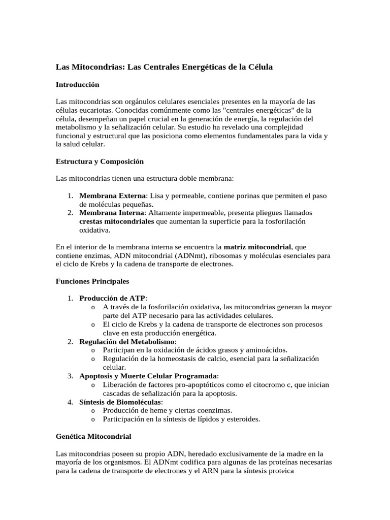 Studoc 2 Las Mitocondrias | PDF | Mitocondria | Biología Celular)