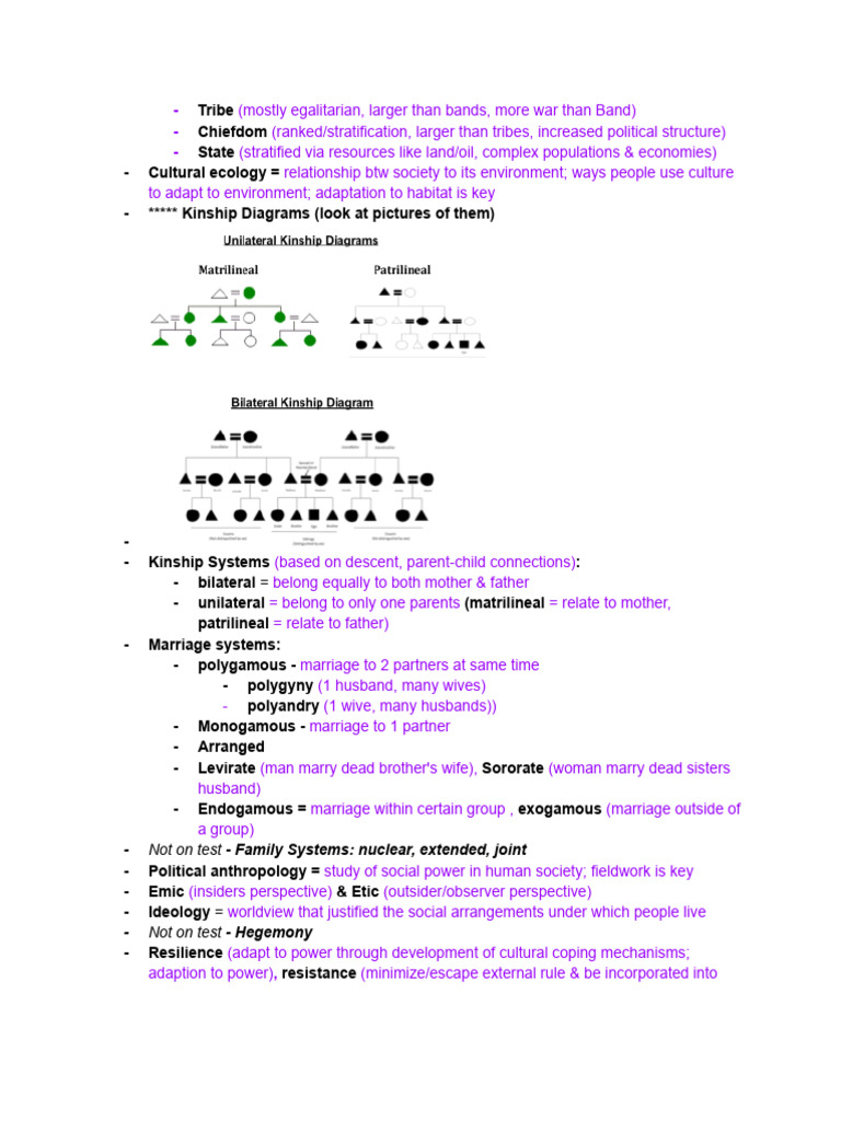 ANTH EXAM 1 Review PT 3 | PDF