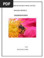 Class 12 Investigatory Project on Pollination | PDF | Pollination ...