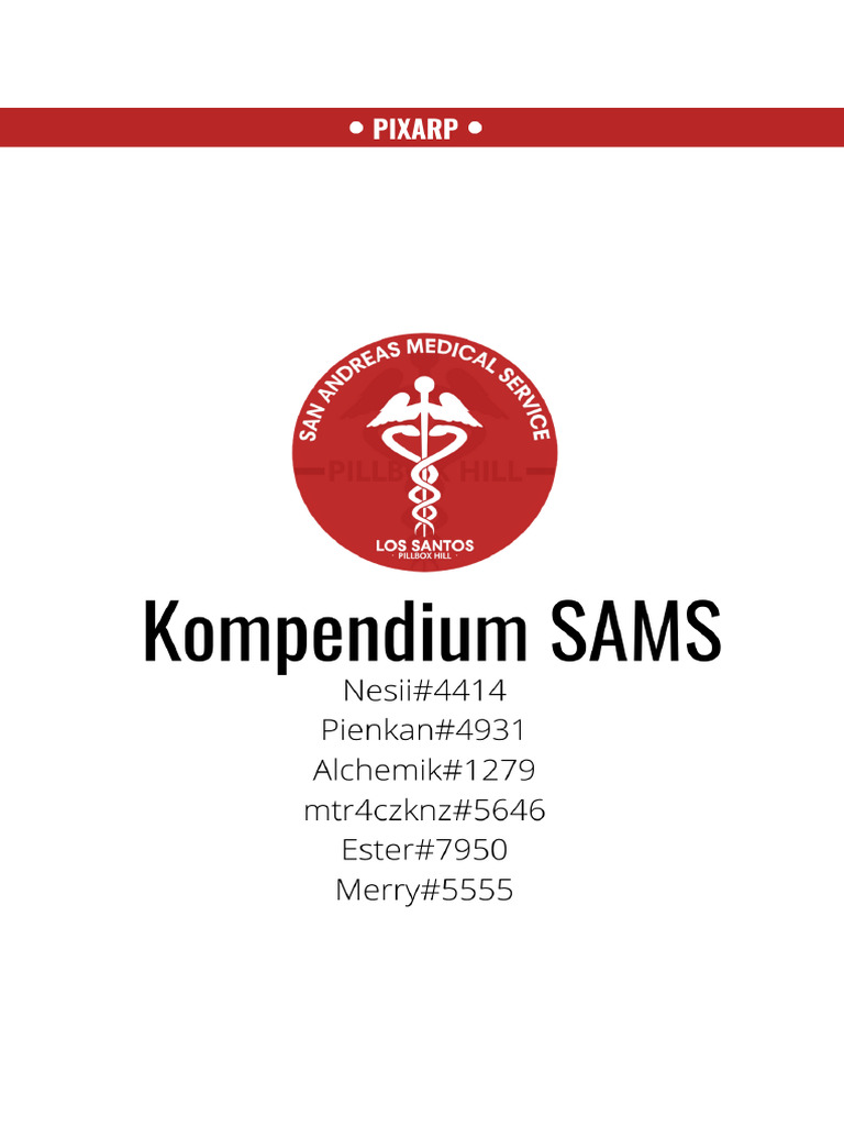 Kompendium_SAMS_Pixa-3 | PDF