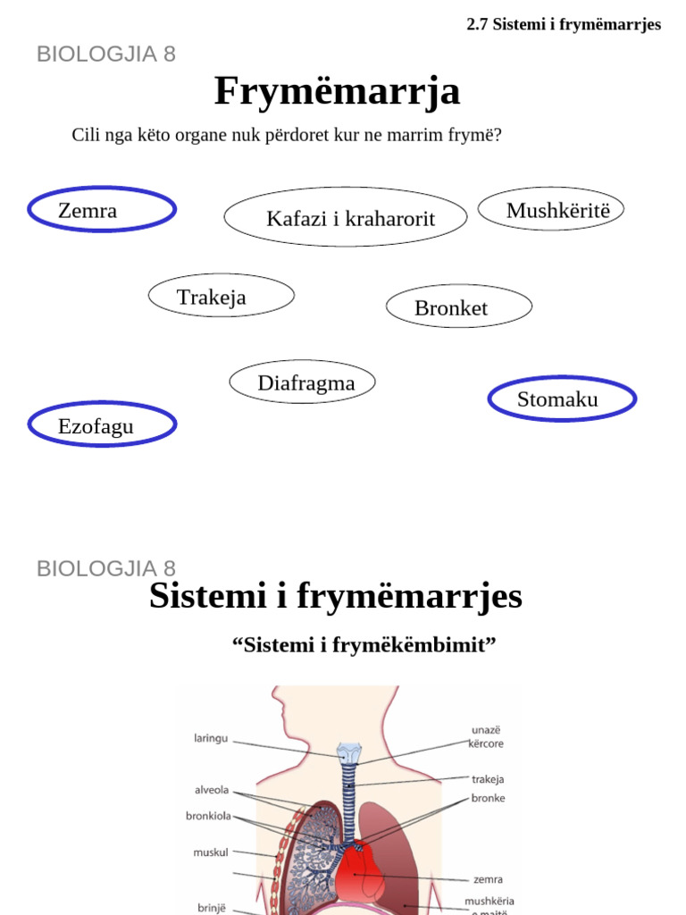 31.Paraqitja e nje╠ê me╠êsimi kyc╠º Fryme╠êmarrja (PowerPoint) (Me ...