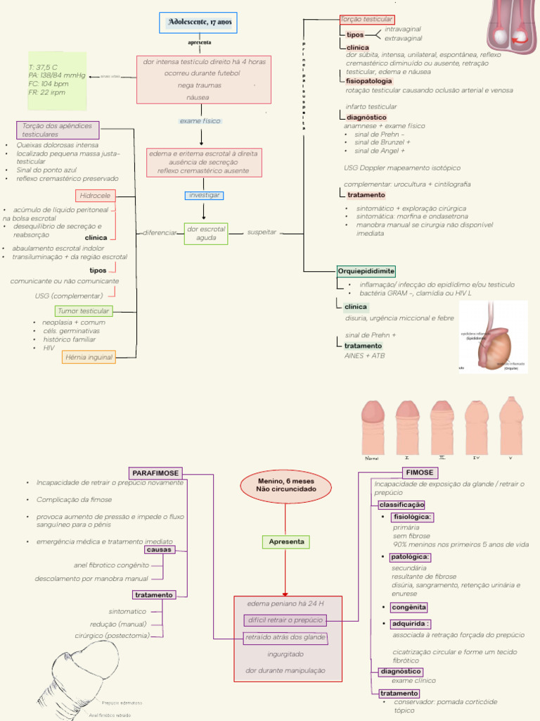 RCC Fimose e Parafimose | PDF | Medicina Clínica | Doenças e distúrbios