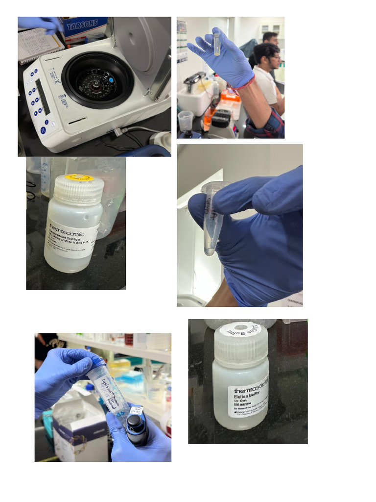 Lab Shots DNA Purification | PDF