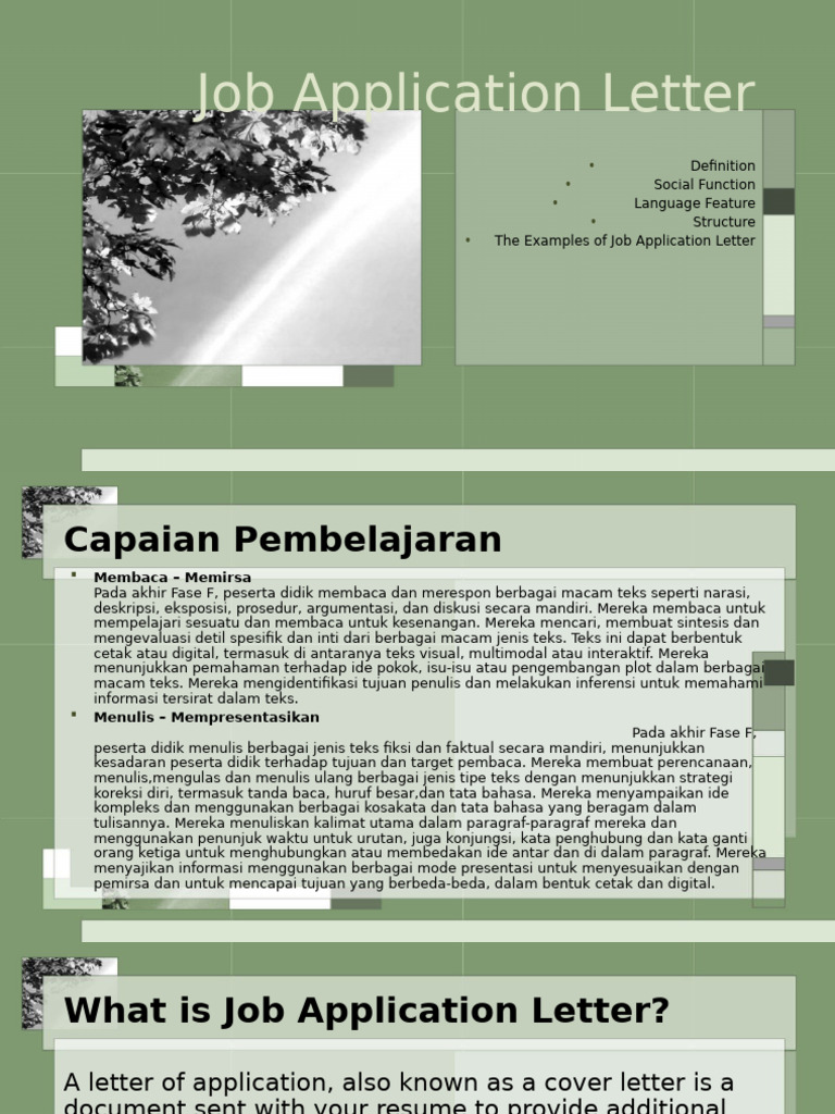 Job Application Letter | PDF | Madam | Linguistics