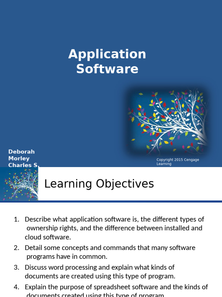 Application Software | PDF | Spreadsheet | Application Software