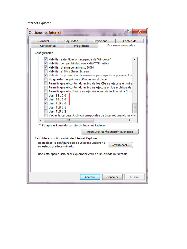 Internet Explorer | PDF