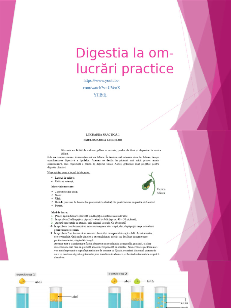 Experimente Digestia | PDF