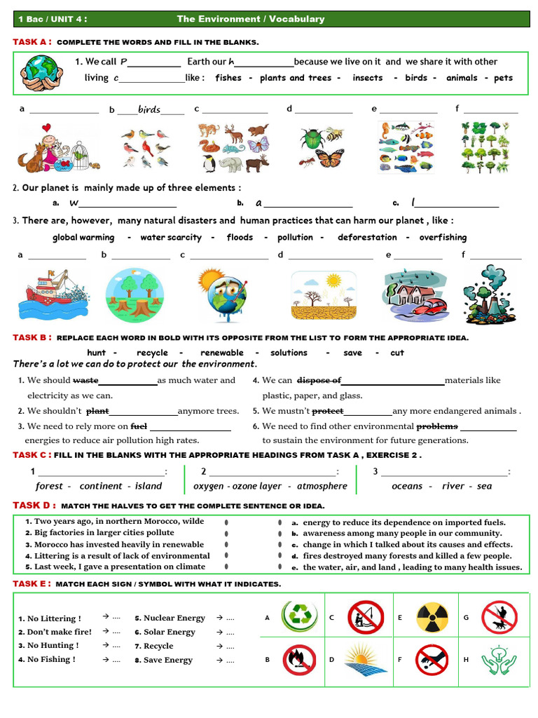Environment Vocabulary Worksheet | PDF | Natural Environment | Nature