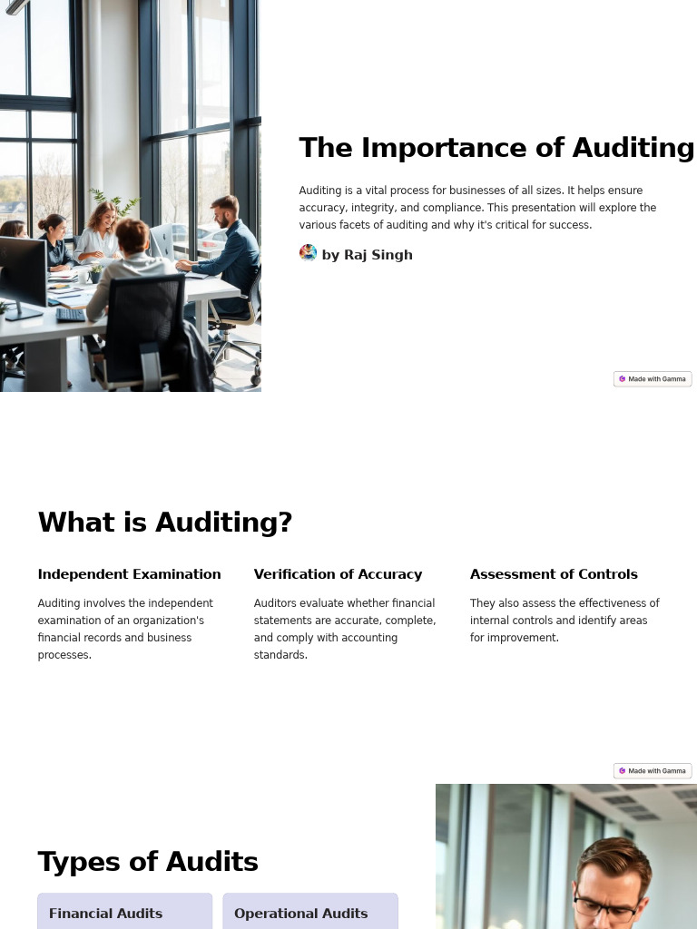 The Importance of Auditing | PDF | Audit | Internal Control