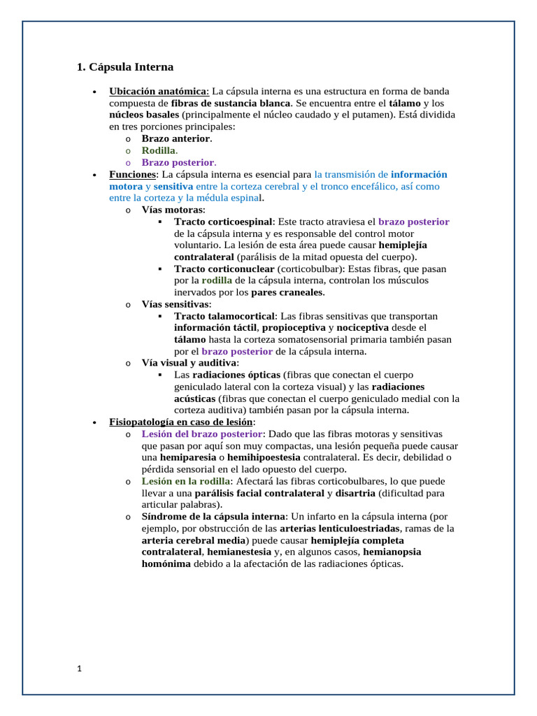 Capsula Interna | PDF | Cerebro | Neuroanatomía