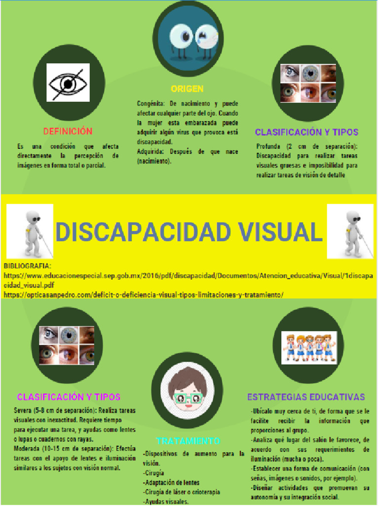 Discapacidad Visual | PDF
