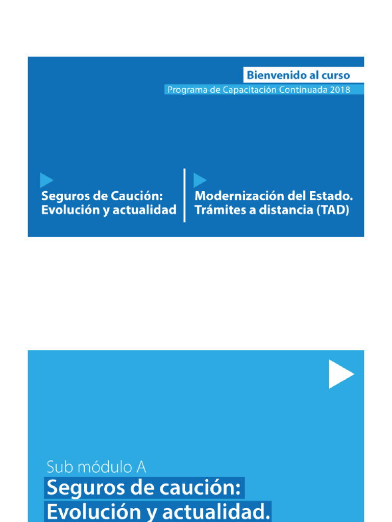 2018 Caucion Tad | PDF