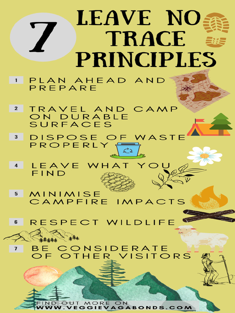 7 Leave No Trace Principles Infographic | PDF