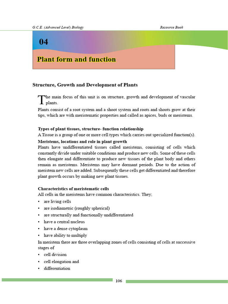 Biology Resource Book Unit 4 English Medium | PDF | Leaf | Plant Stem