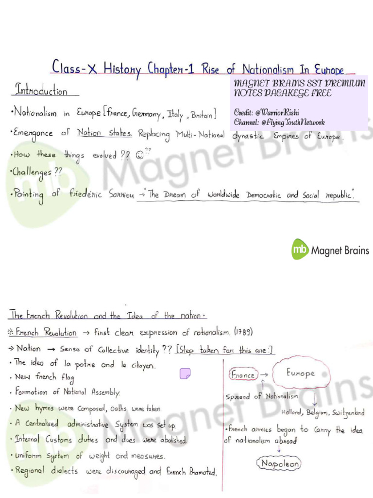Magnet Brain SST Notes | PDF | Neuroscience