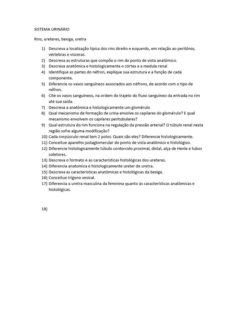 Sistema Urinàrio - Ed Ef2 20241 | PDF