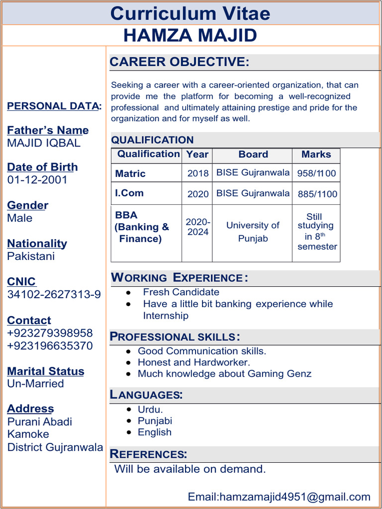 Hamza Majid Resume | PDF