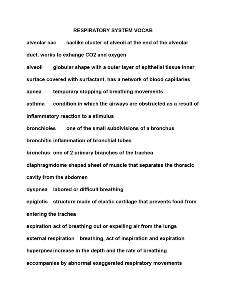 Respiratory System Vocabulary Guide | PDF