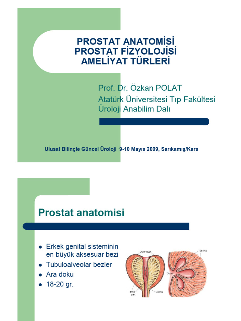 Prostat Anatomisi Prostat Fizyolojisi Ameliyat Türleri | PDF