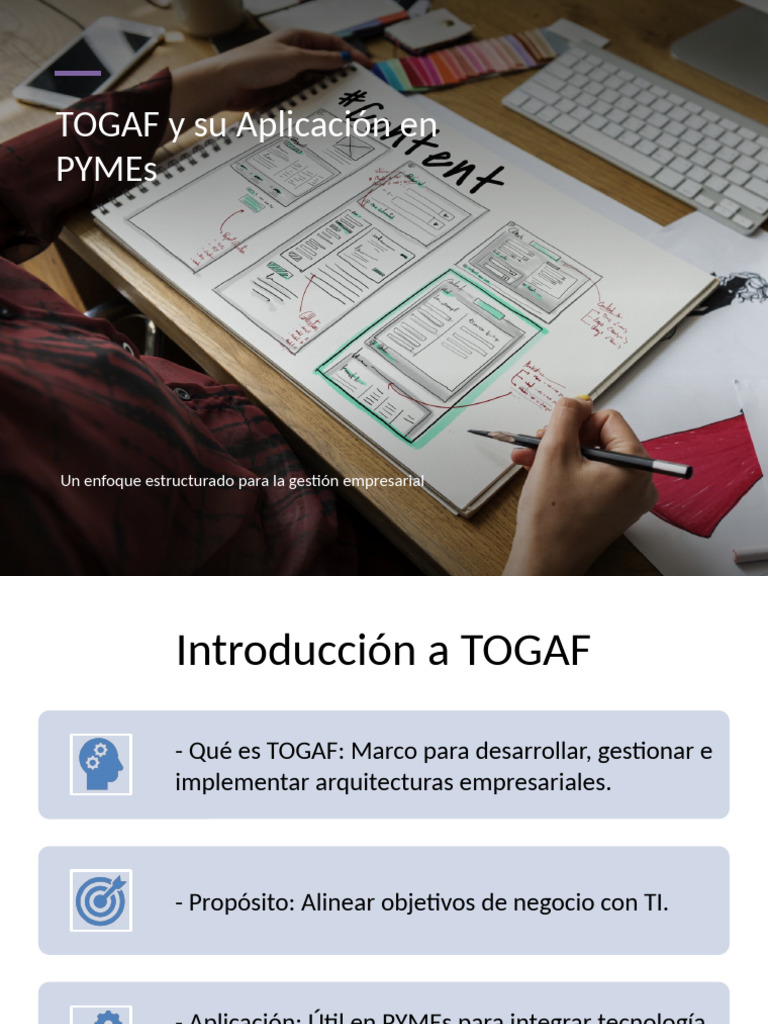 Togaf Mypes | PDF