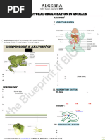 ZOOLOGY XII (12th Grade/Class) Solved Practical Journal | PDF