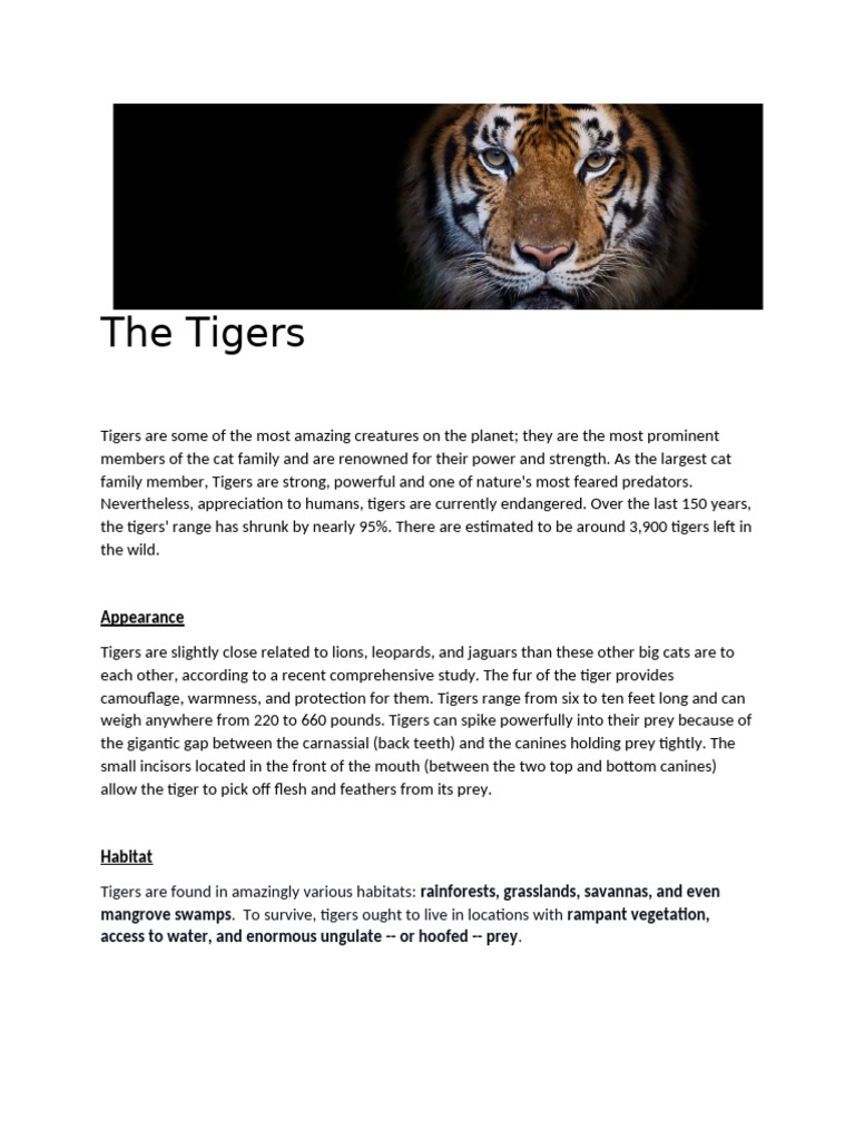 Tiger Fact File | PDF