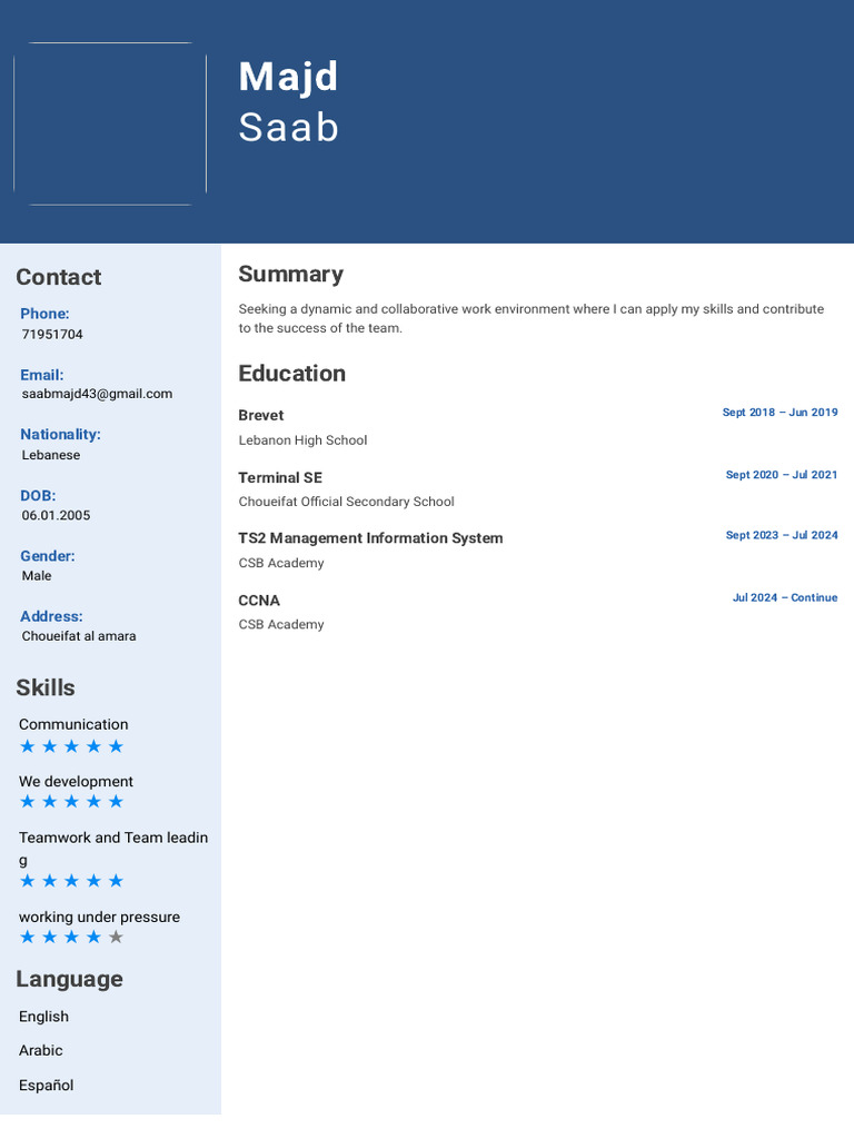 Majd Resume 301-1 | PDF