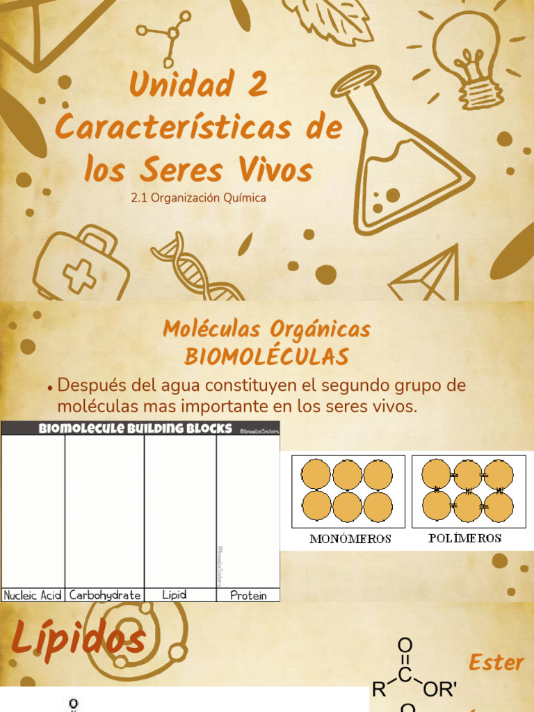 Semana 3-1S 2024 - Fod | PDF