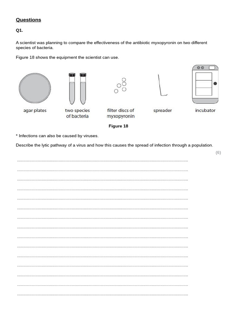 Sb5a-F Exam Qs & MS | PDF | Virus | Infection