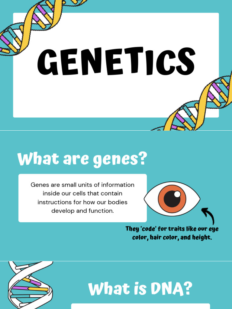 Understanding Genes and DNA Basics | PDF