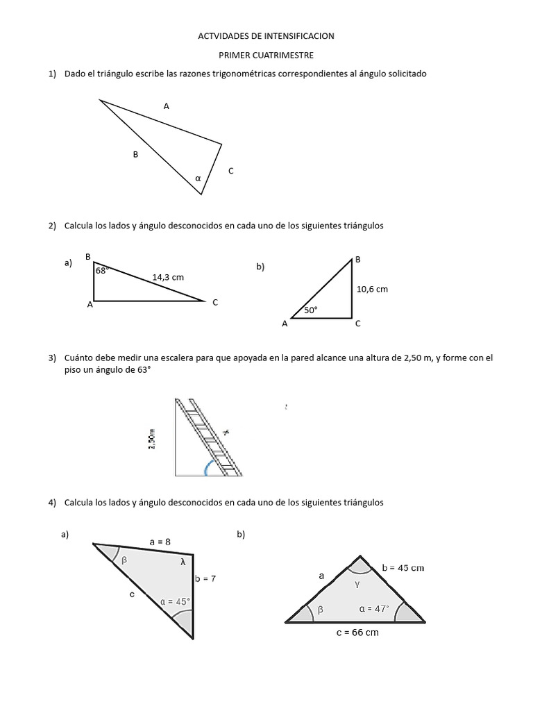 ACTVIDADES DE INTENSIFICACION Primer Cuatri | PDF