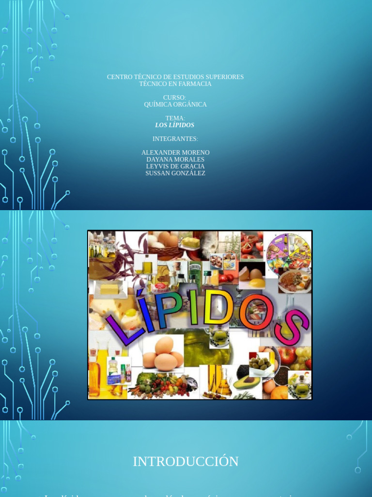 Química Orgánica Grupo Lípidos | PDF | Lípido | Ácido graso