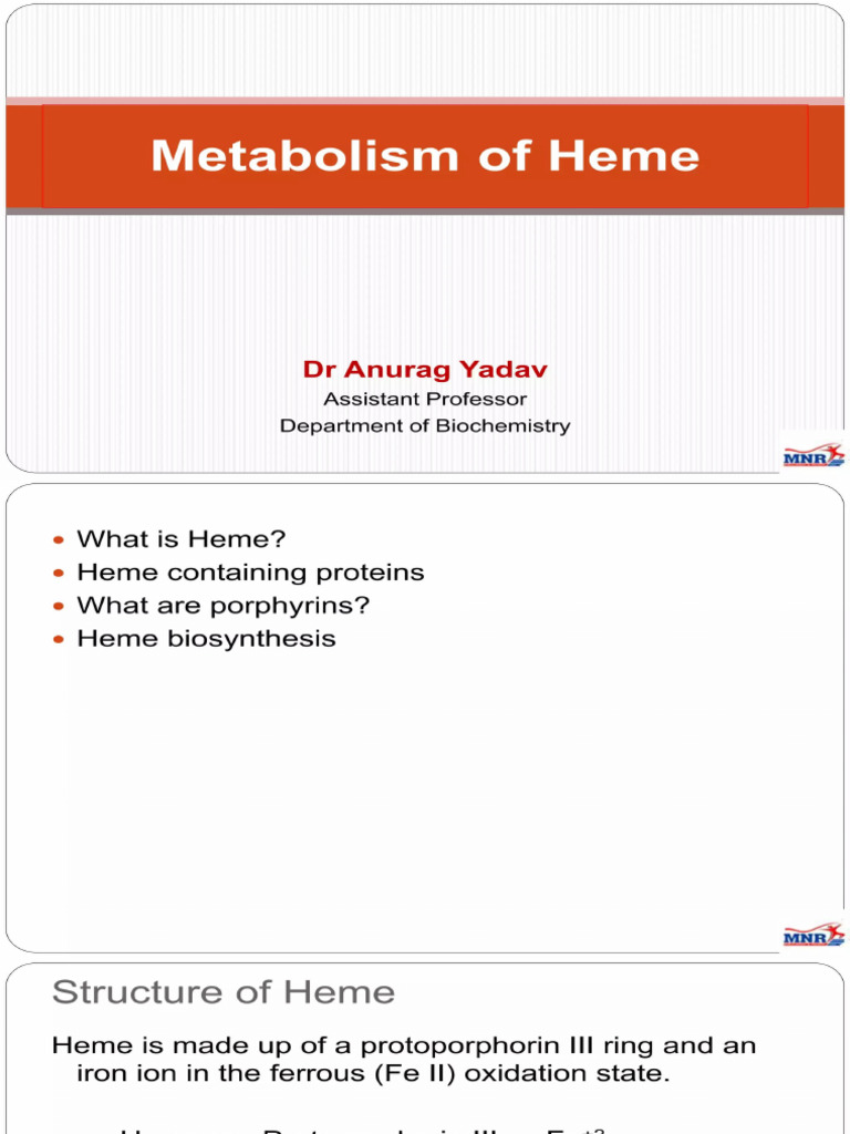 Heme Synthesis and Catabolism | PDF