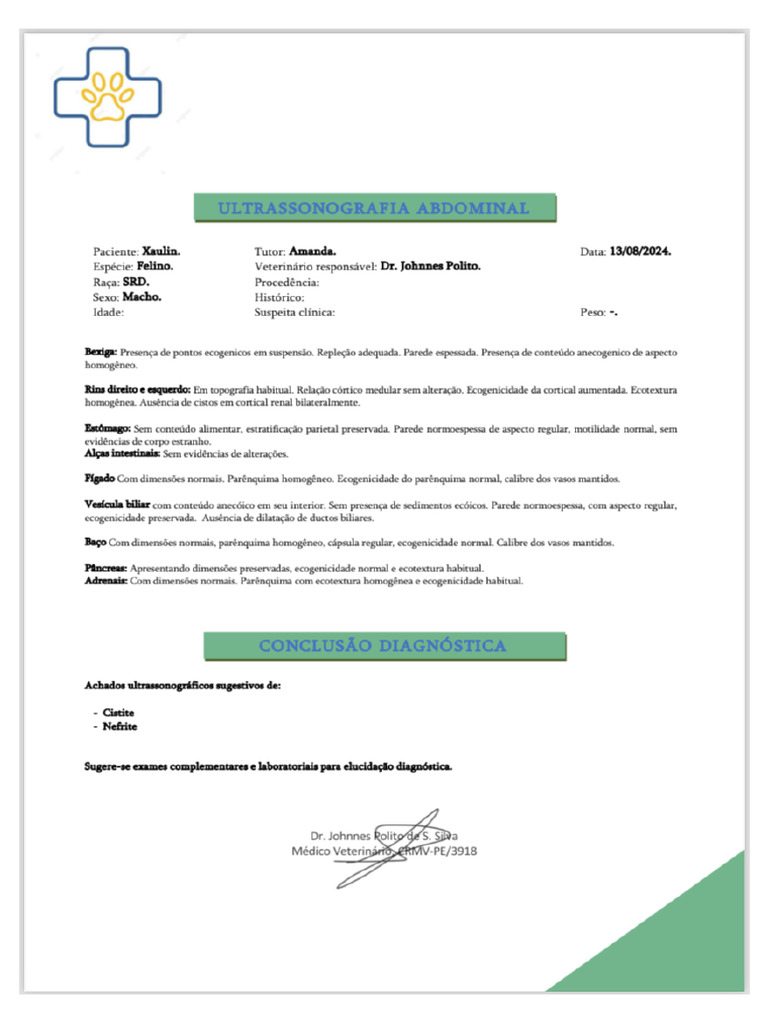 Documento de Amanda Lima | PDF