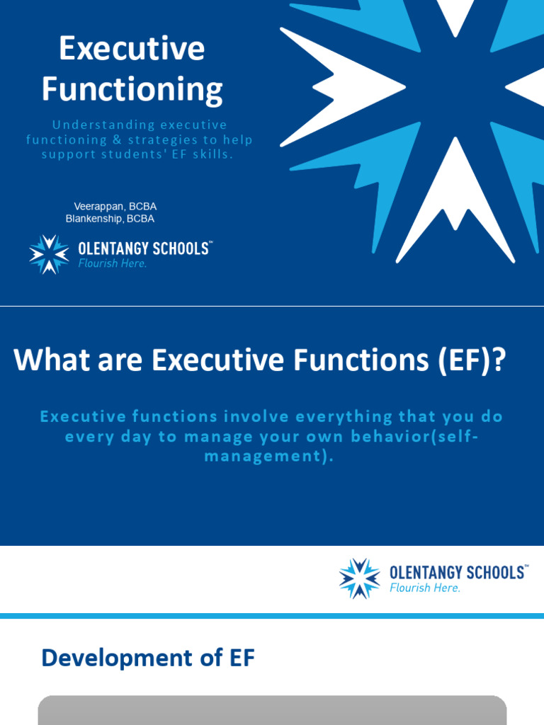 ExecutiveFunctionSlidePresentation_FrancesGardner | PDF | Executive Functions | Working Memory